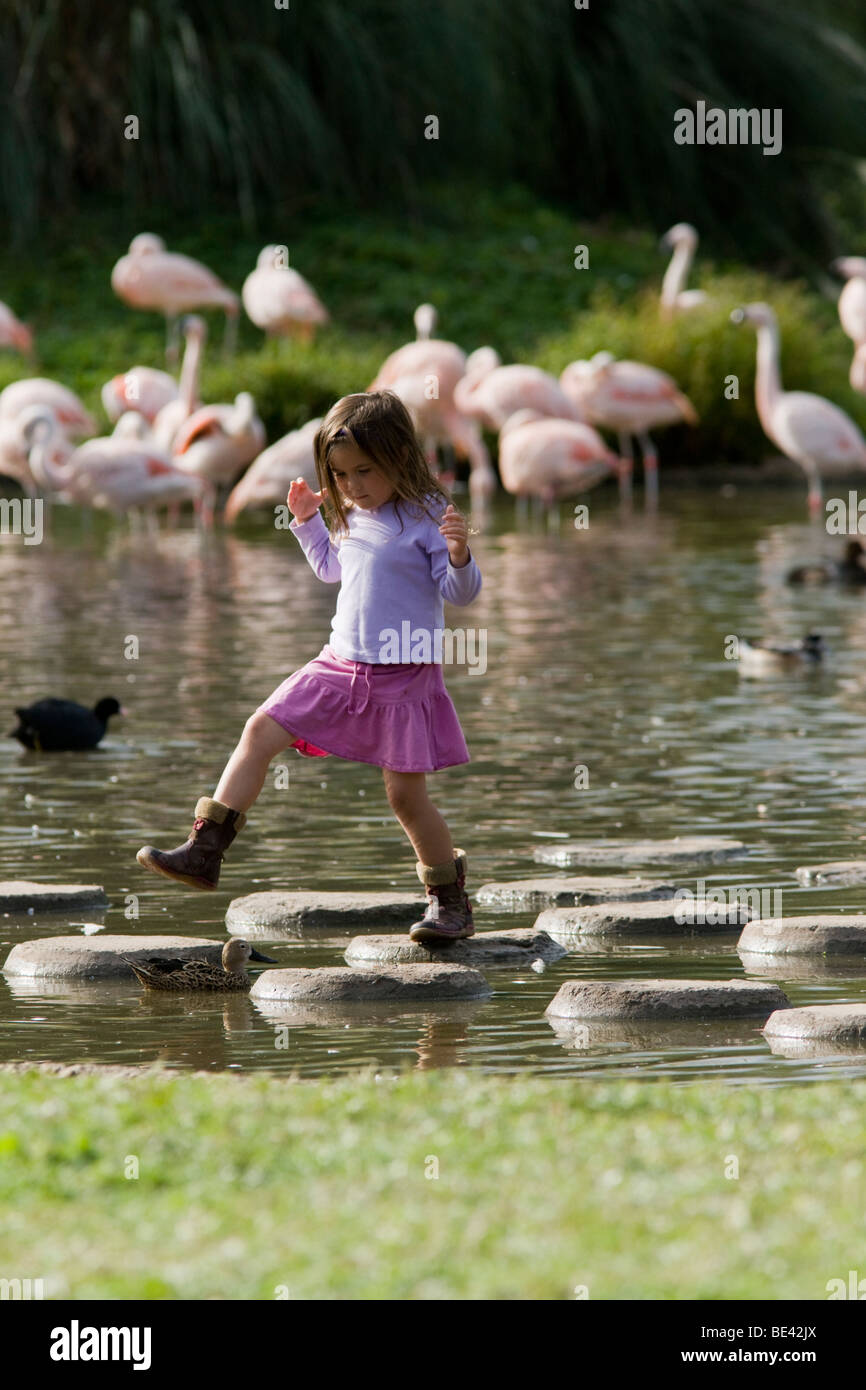 Little girl crossing the pond on stepping stones Stock Photo - Alamy