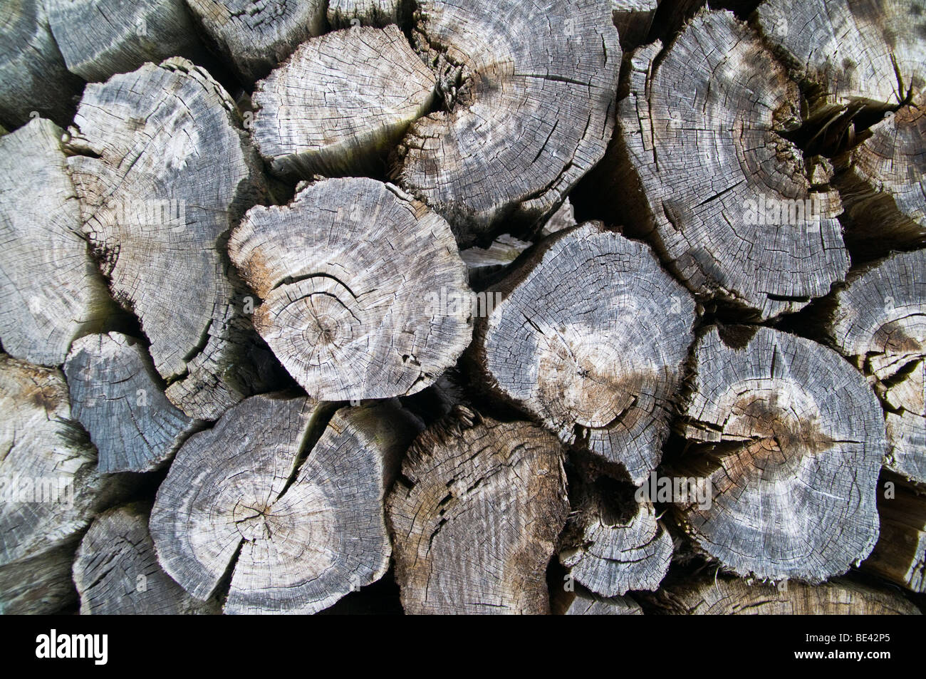 End of logs hi-res stock photography and images - Alamy