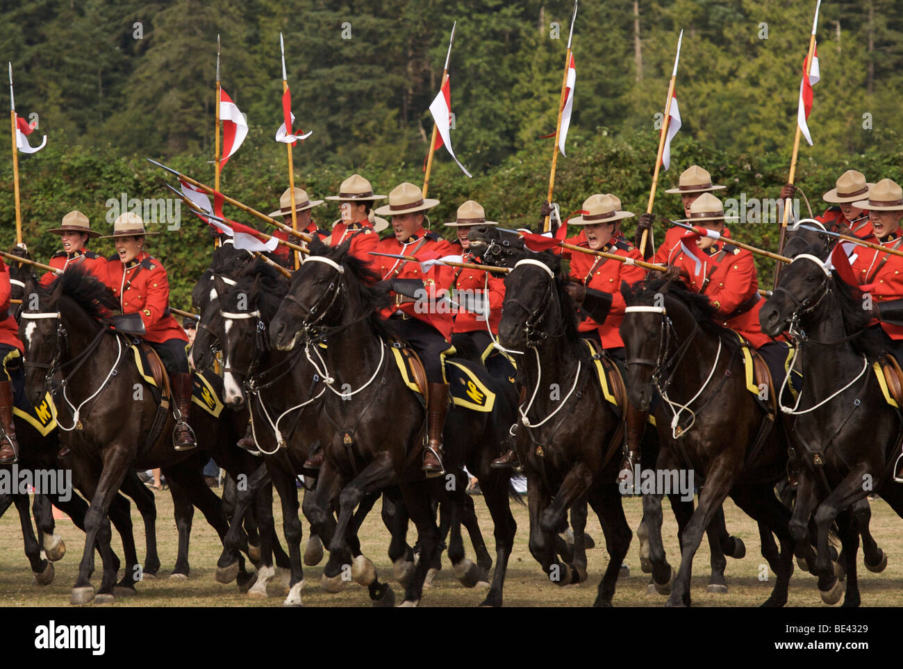 Forward In Charge at Maria Couch blog