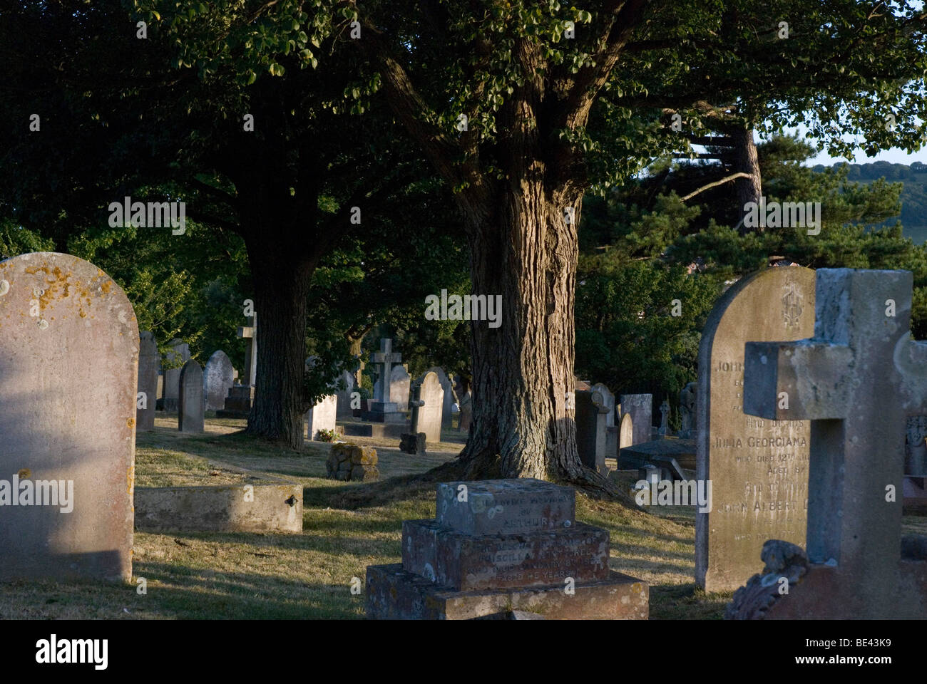 Gravestones surrounding tree in Cemetery Stock Photo - Alamy