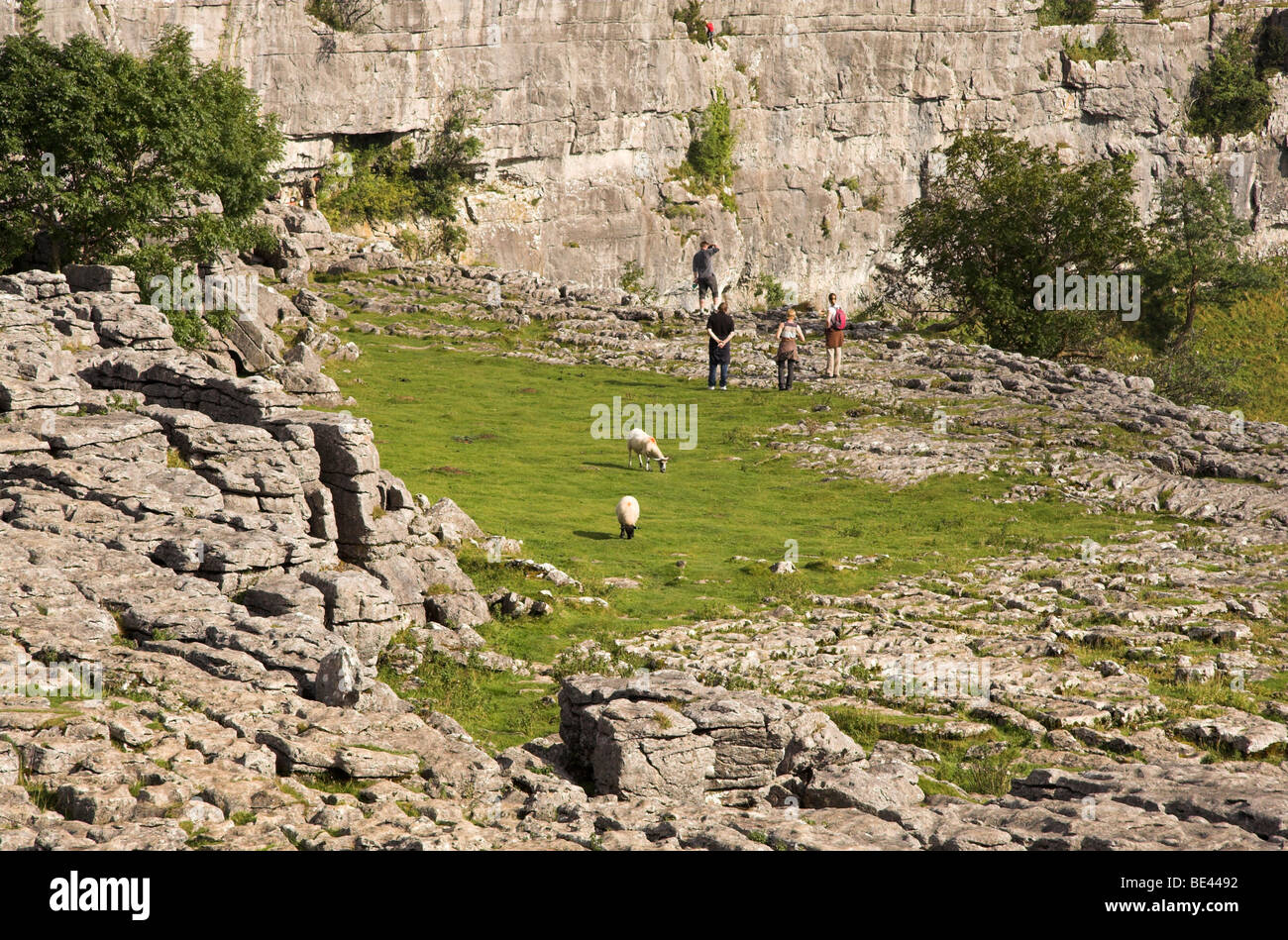 Malham Cove, Malhamdale, Yorkshire Dales England UK Stock Photo - Alamy
