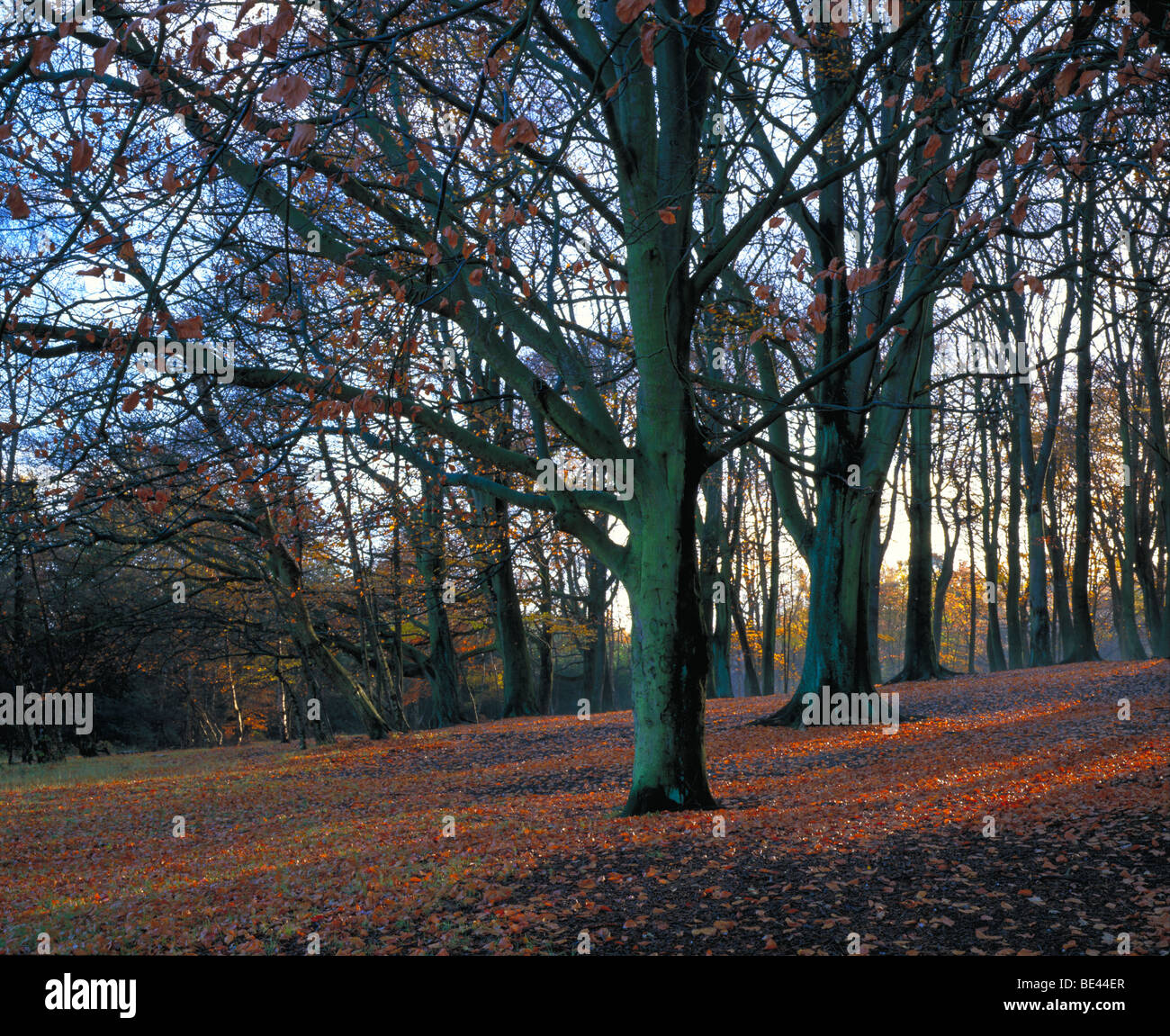 Sutton coldfield travel hi-res stock photography and images - Alamy