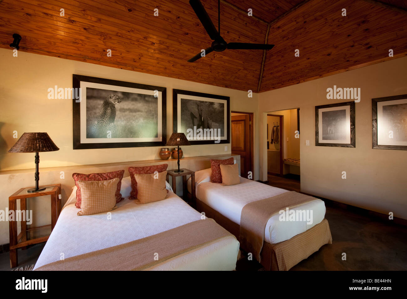 room, Mashatu Camp, Mashatu Game Reserve, Tuli Block, Botswana Stock ...