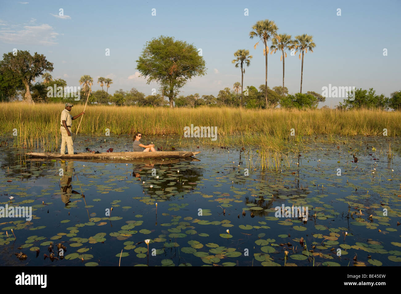 Tourist on mokoro trip, Okavango Delta, Botswana Stock Photo - Alamy