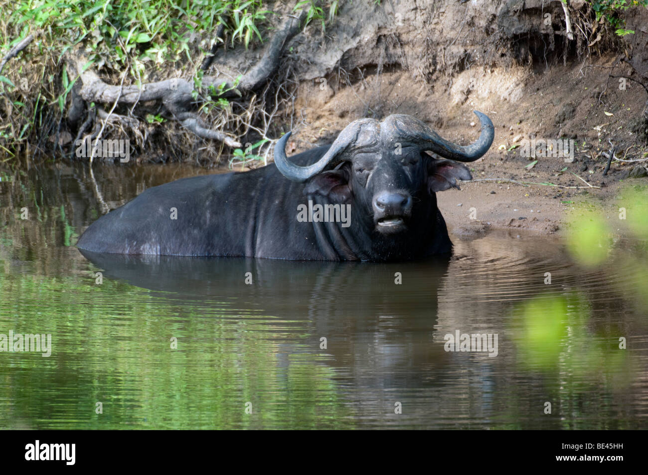 Lyng hi-res stock photography and images - Alamy