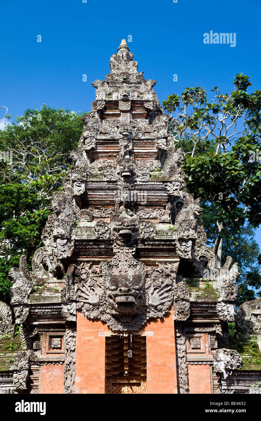 Dead Monkey High Resolution Stock Photography and Images - Alamy