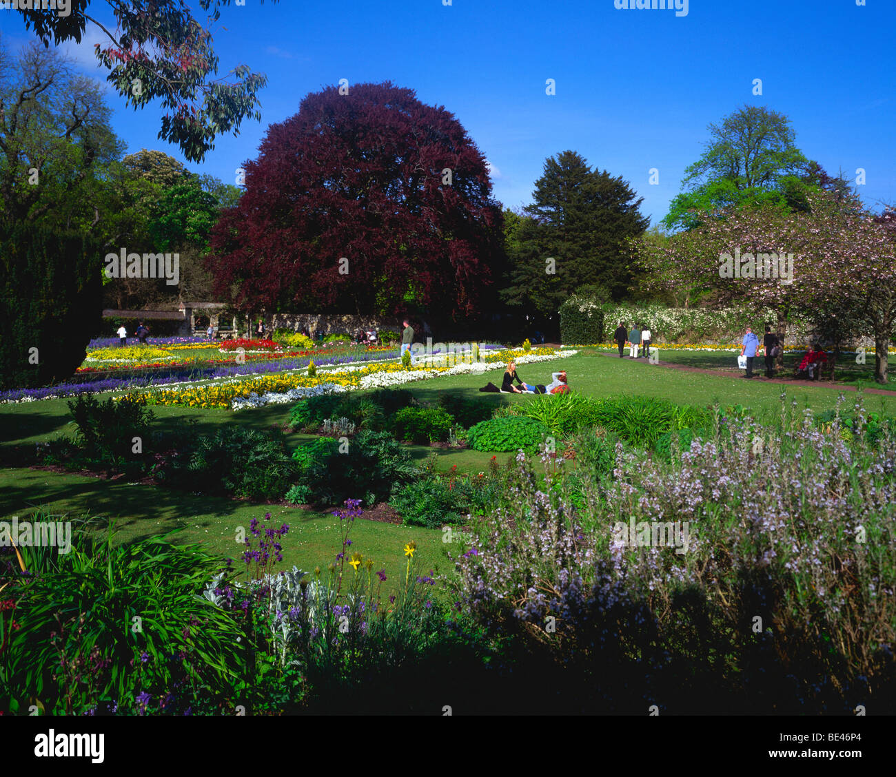 Grange Gardens Lewes East Sussex public park in spring with people ...