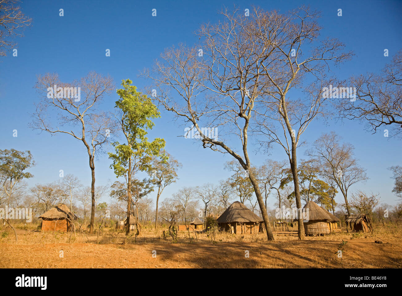 Local village in Zambia, Africa Stock Photo - Alamy