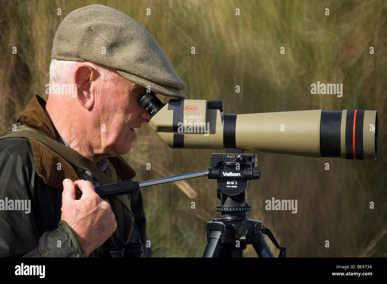 Citizen observer hi-res stock photography and images - Alamy