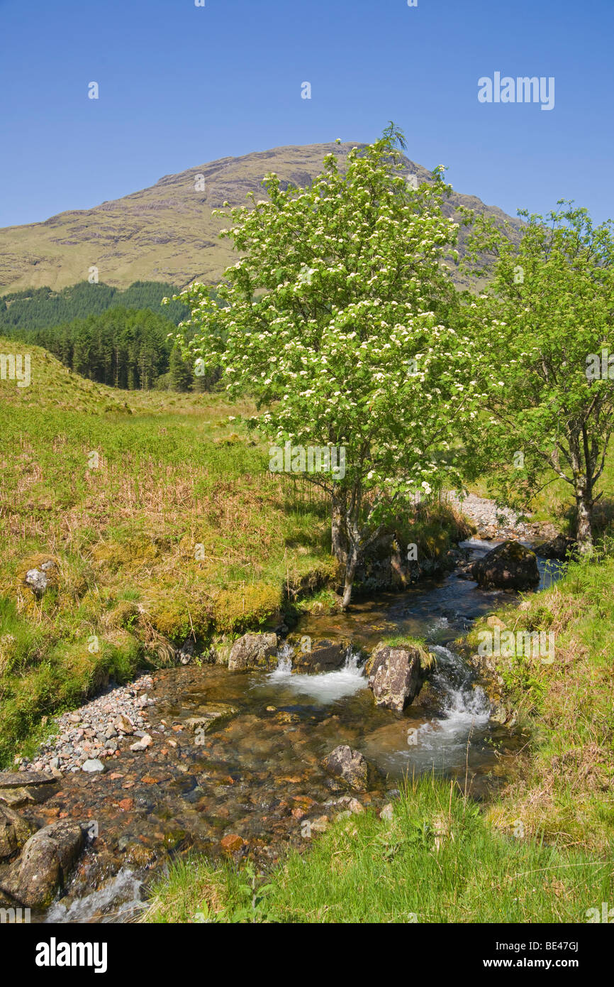 Dalness glen etive hi-res stock photography and images - Alamy