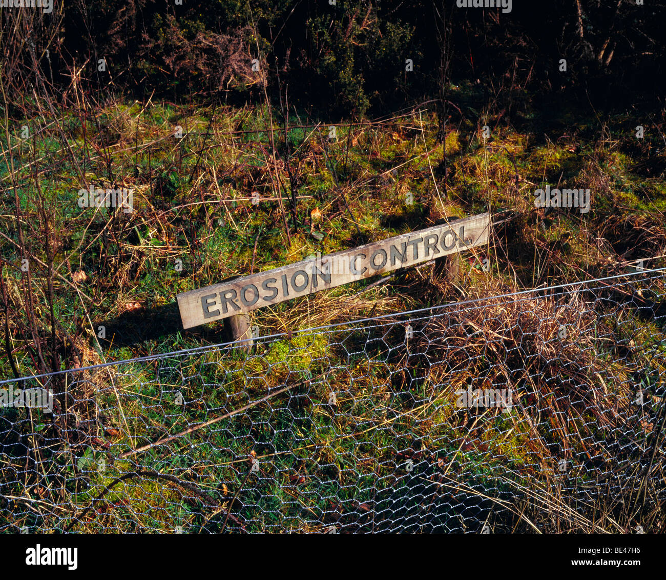 Soil erosion control hi-res stock photography and images - Alamy