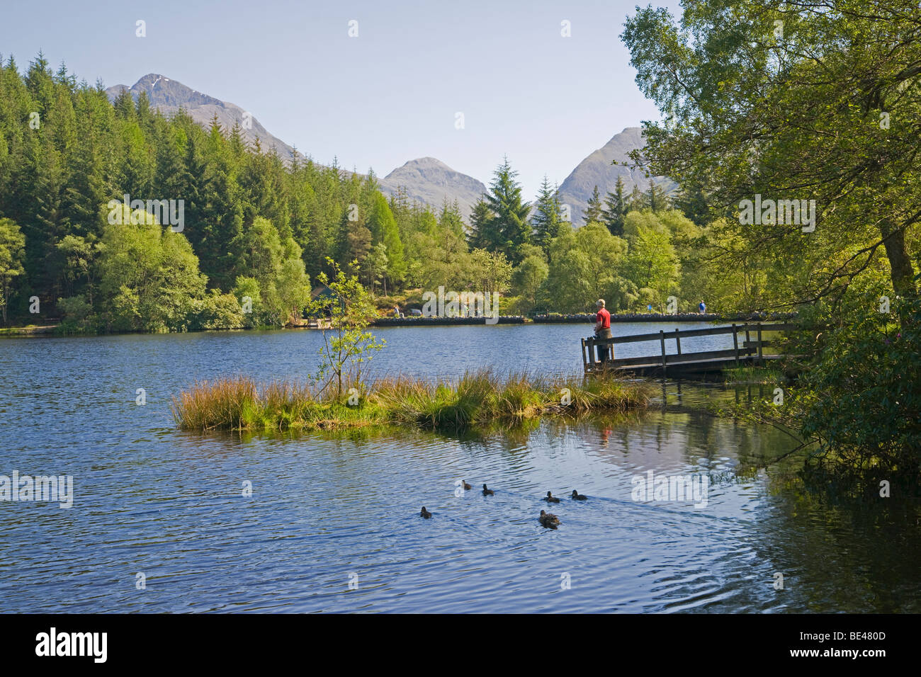 Glencoe Lochan, fisherman, Glencoe forest, River Coe, Highland Region ...