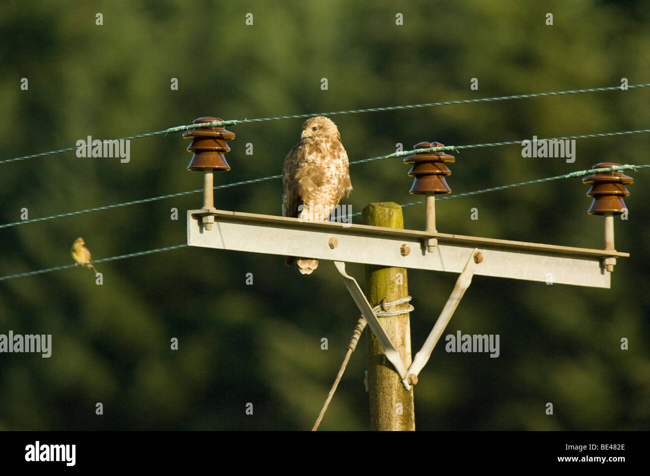 Scottish electricity pole hi-res stock photography and images - Alamy