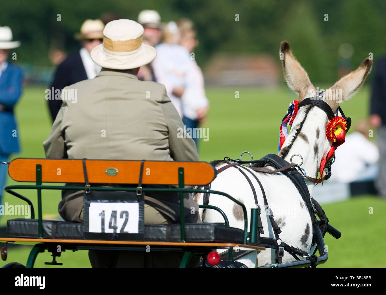 Donkey carriage hi-res stock photography and images - Alamy