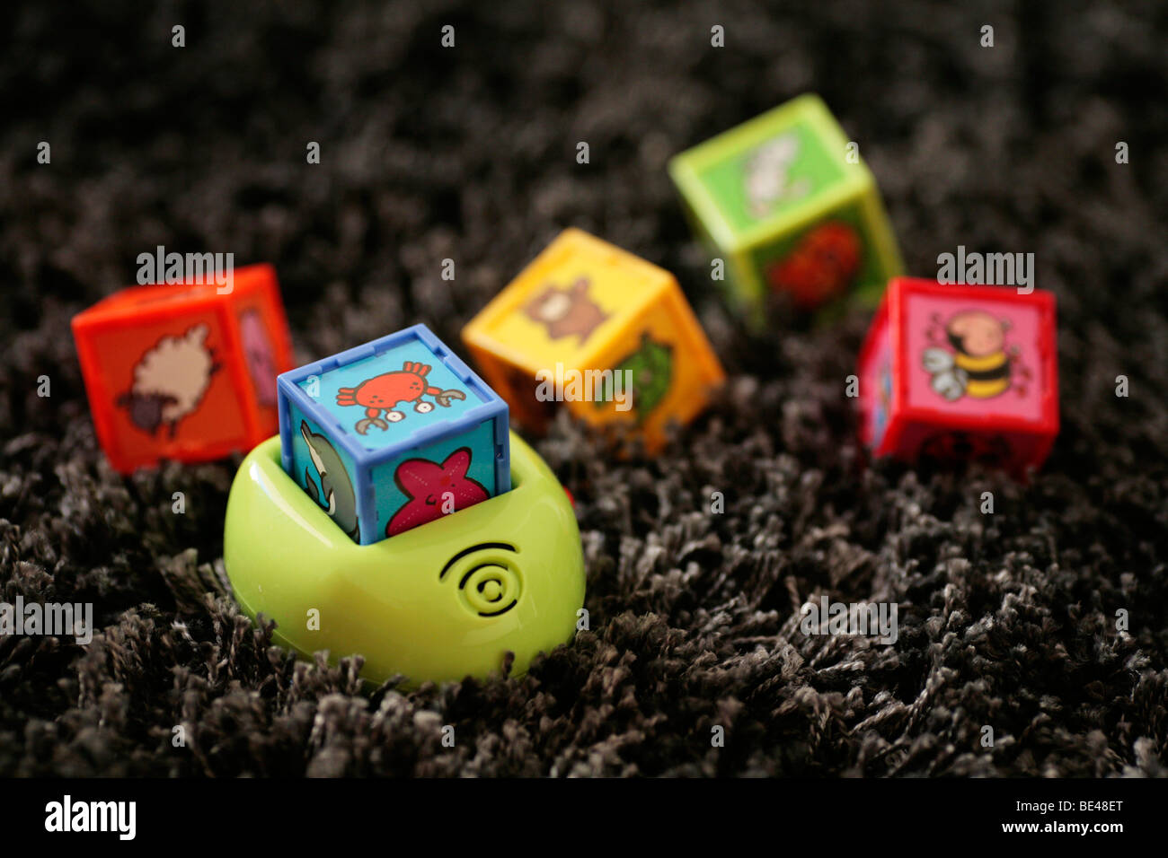 Educational toy animal hi-res stock photography and images - Alamy