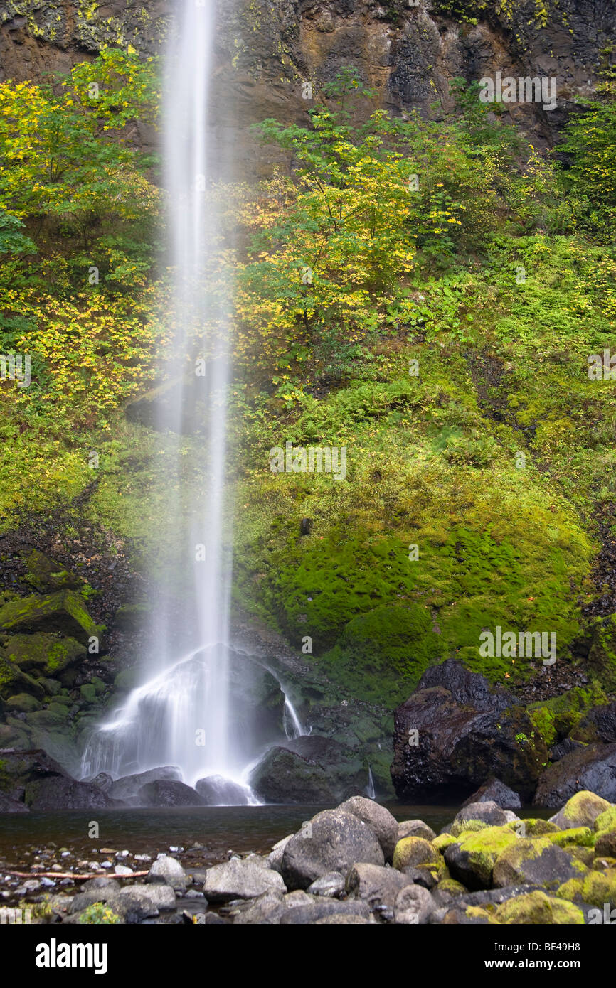 Elowah Falls in John B. Yeon State Park, Columbia River Gorge national ...