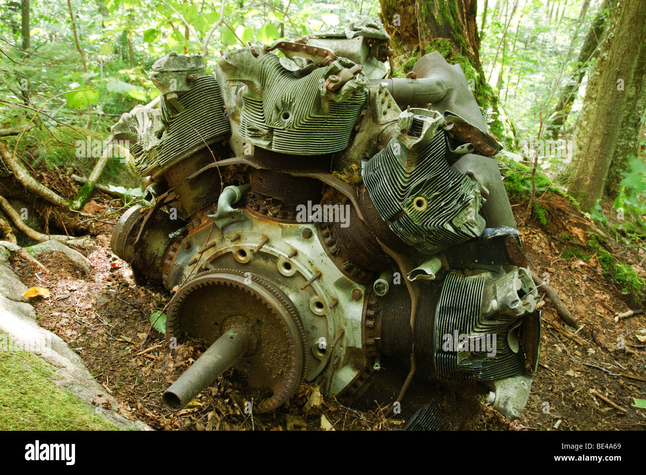 Crash site of B-18 Bomber on Mount Waternomee in Woodstock, New ...