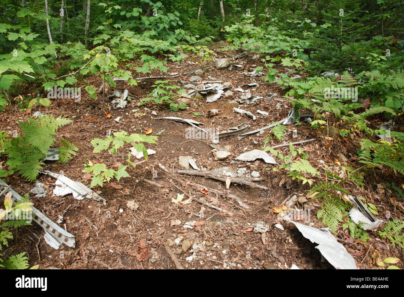 Crash site of B-18 Bomber on Mount Waternomee in Woodstock, New ...