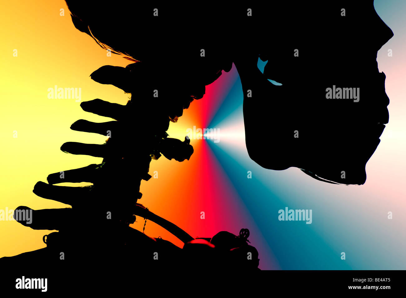 human skull and partial spine in silhouette skeleton Stock Photo - Alamy