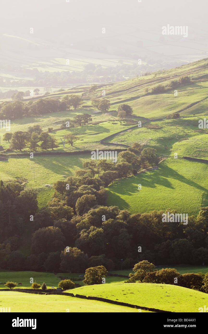 Farndale hi-res stock photography and images - Alamy