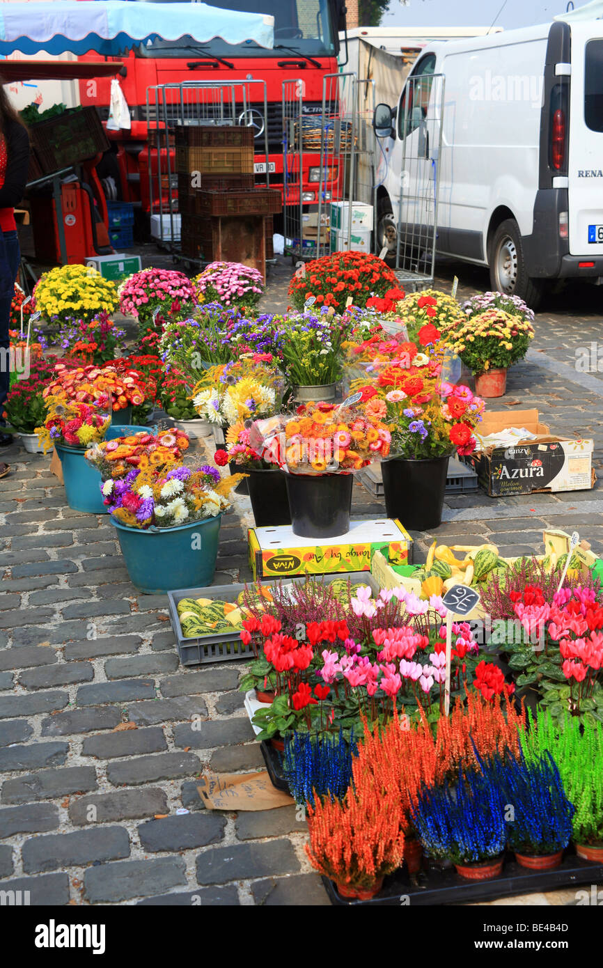 French market stall flower plant hi-res stock photography and images ...