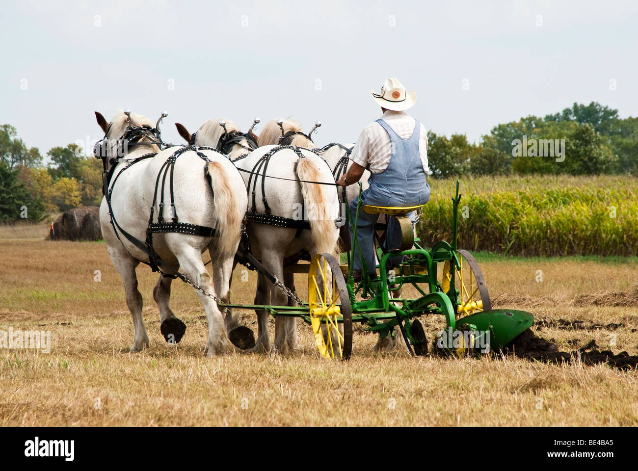 Draft Horses Pulling Plow Stock Photos & Draft Horses Pulling Plow ...