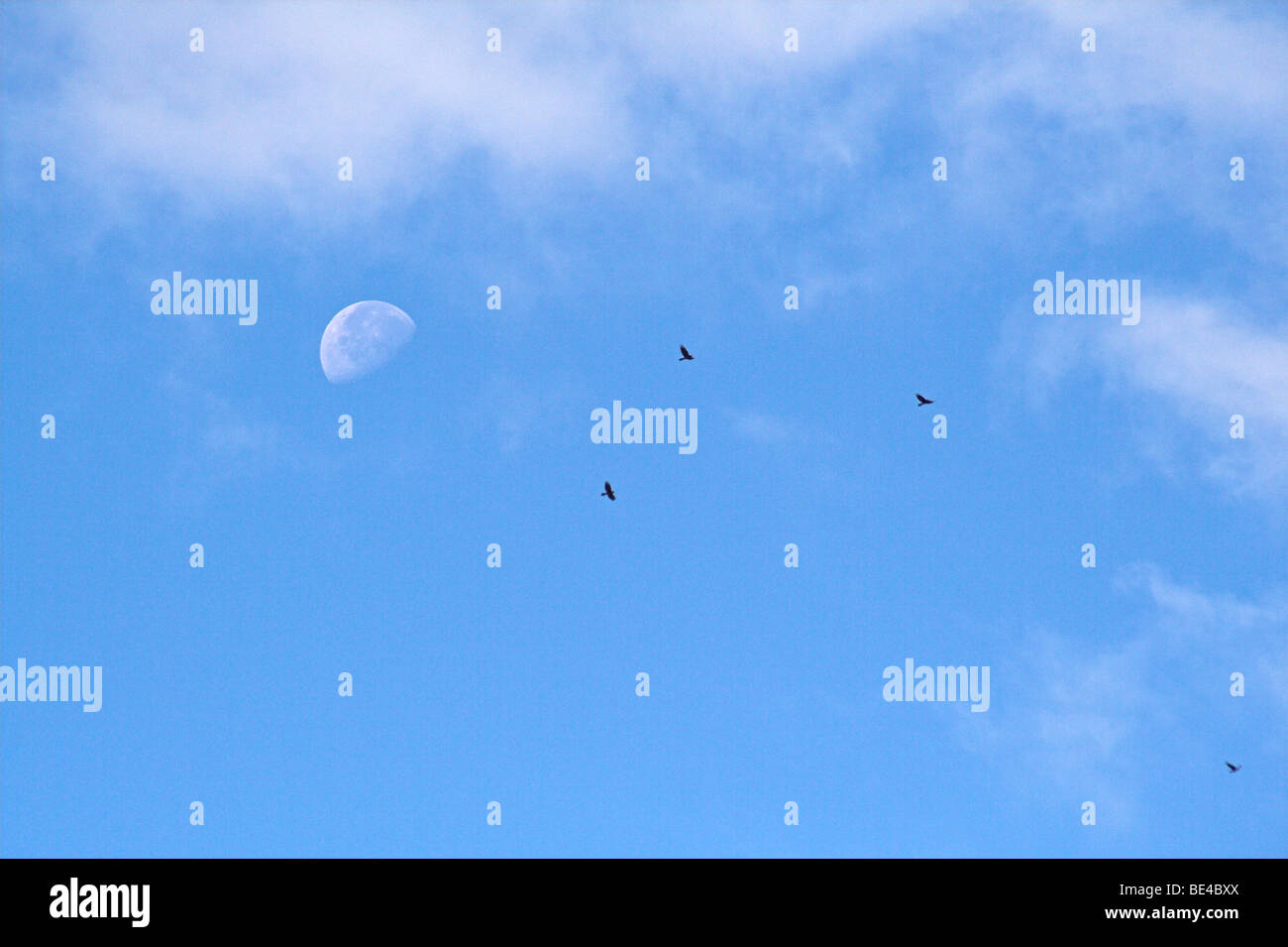 Cycle the solar system yorkshire hi-res stock photography and images ...