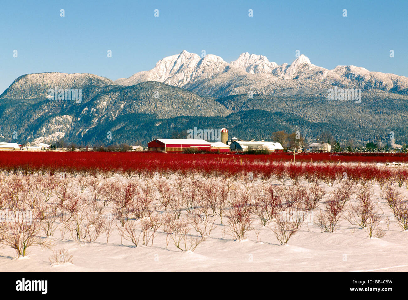 British farm buildings hi-res stock photography and images - Alamy