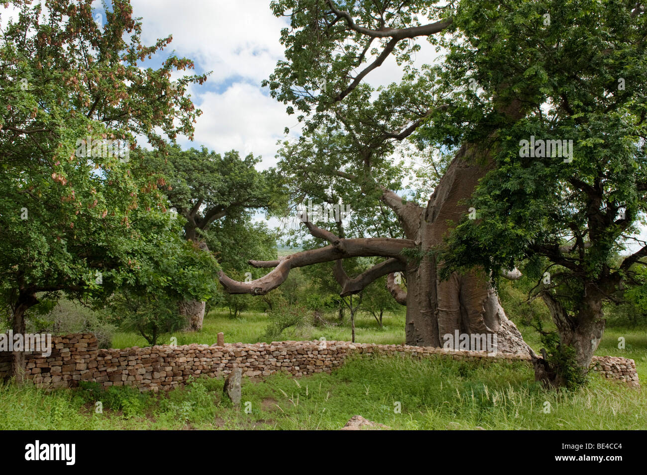 Thulamela archaeological site, Kruger National Park, South Africa Stock ...