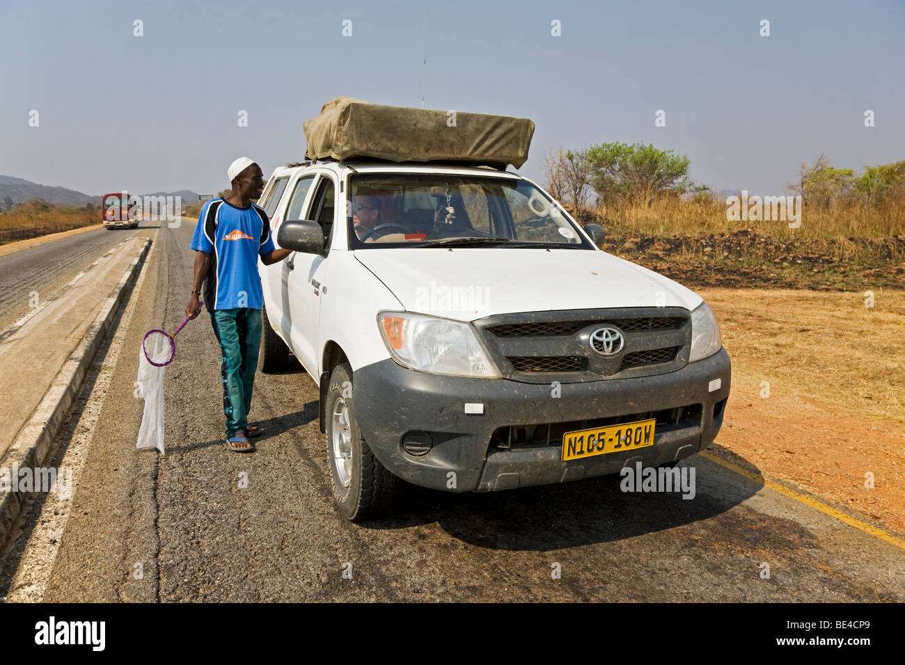 Tsetse fly control in Zambia, Africa Stock Photo - Alamy