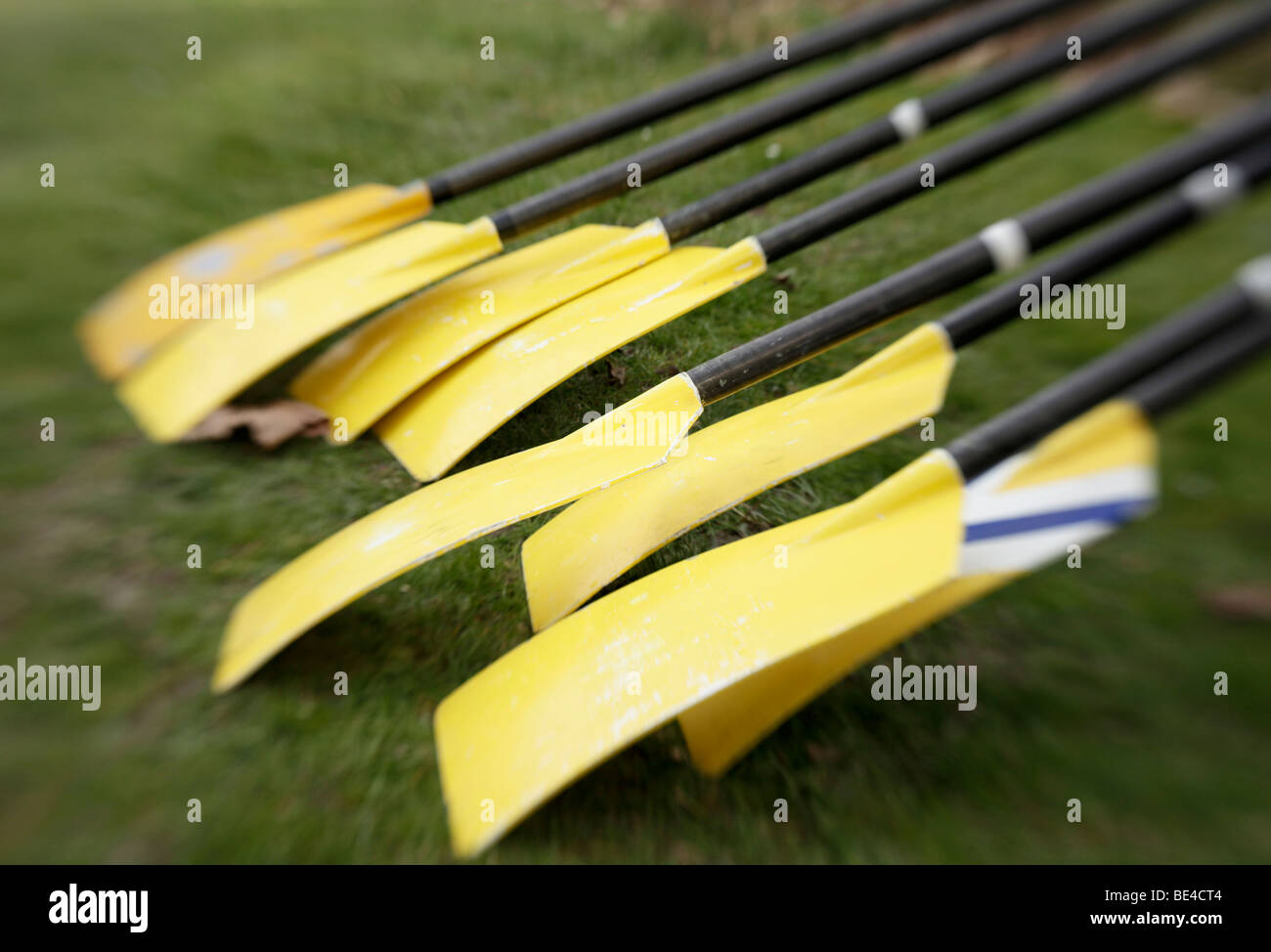 Sporting oars hi-res stock photography and images - Alamy