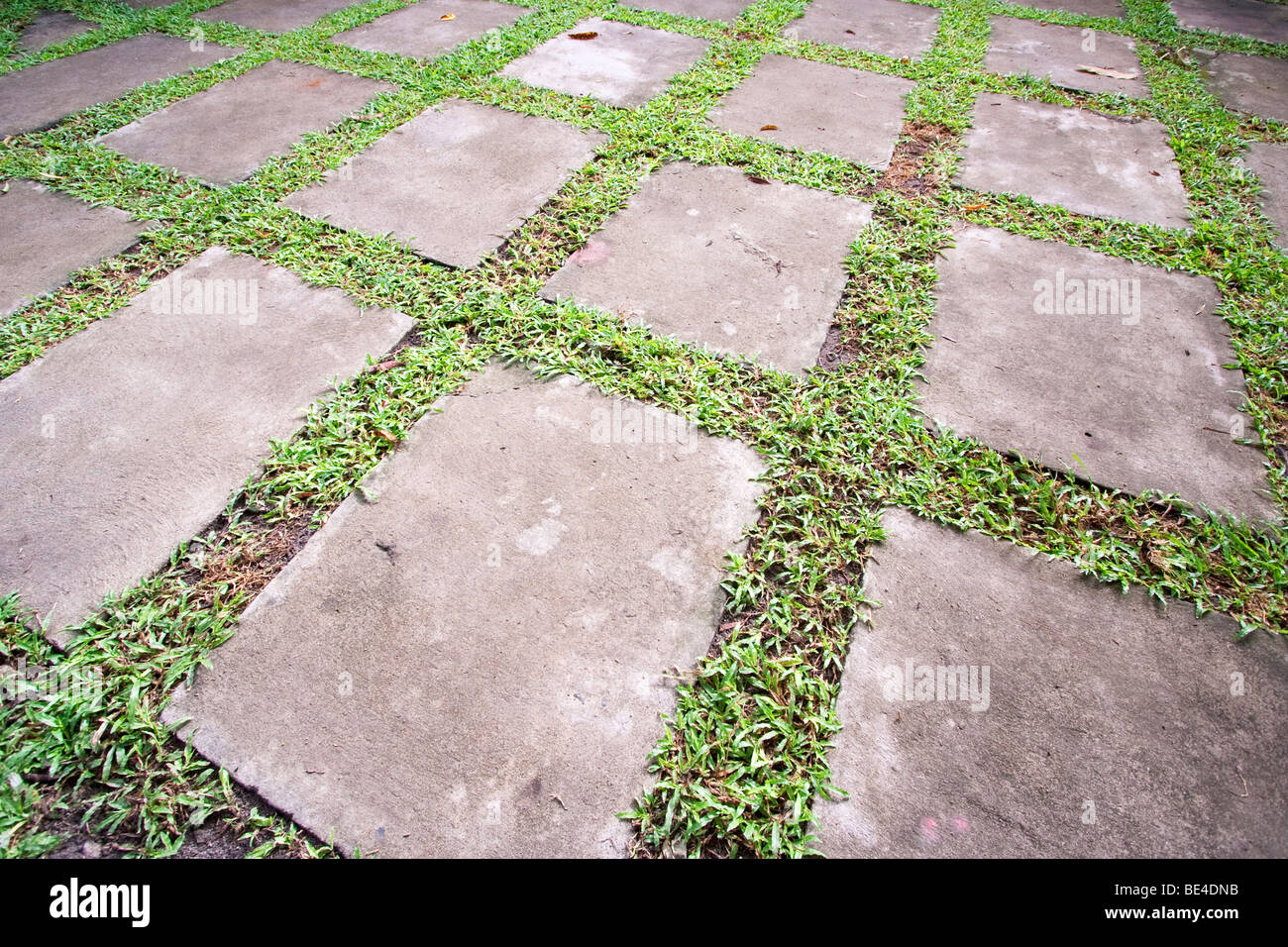 A brick path in Paco Park Stock Photo - Alamy