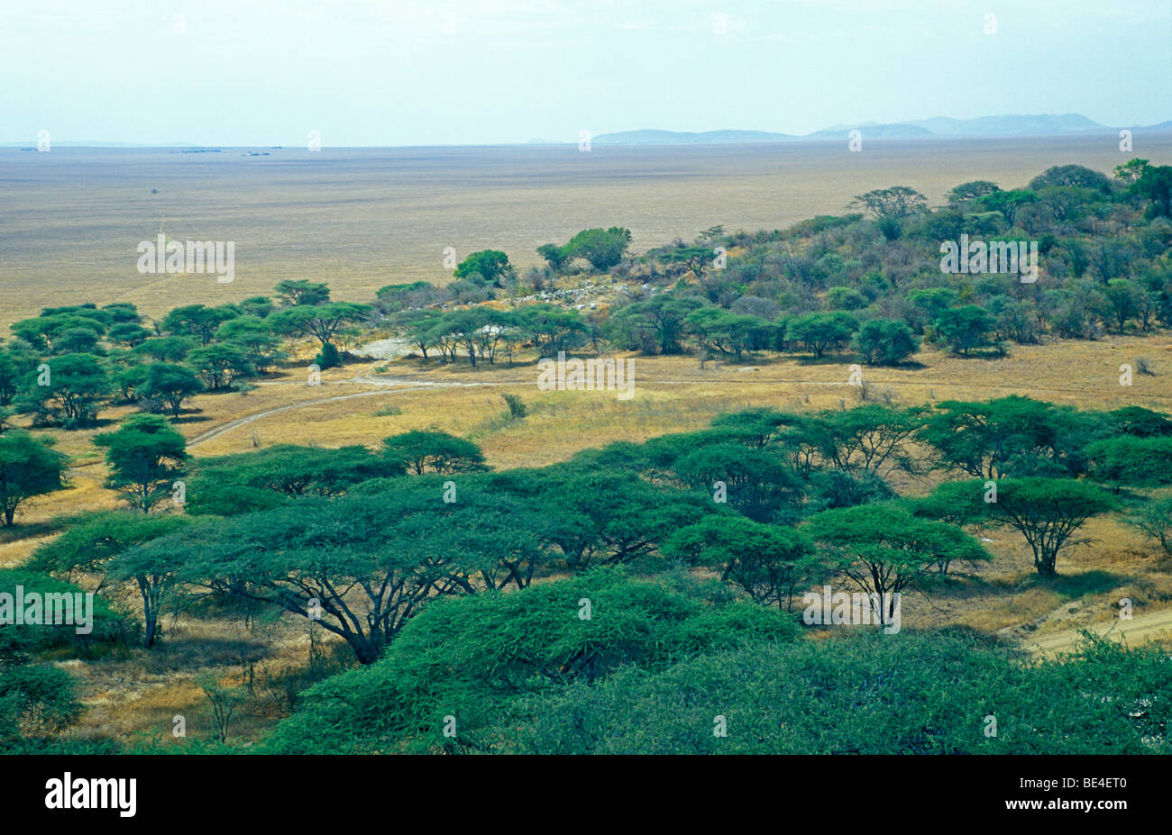 panoramic view of Serengeti National Park, Tanzania, Africa Stock Photo ...