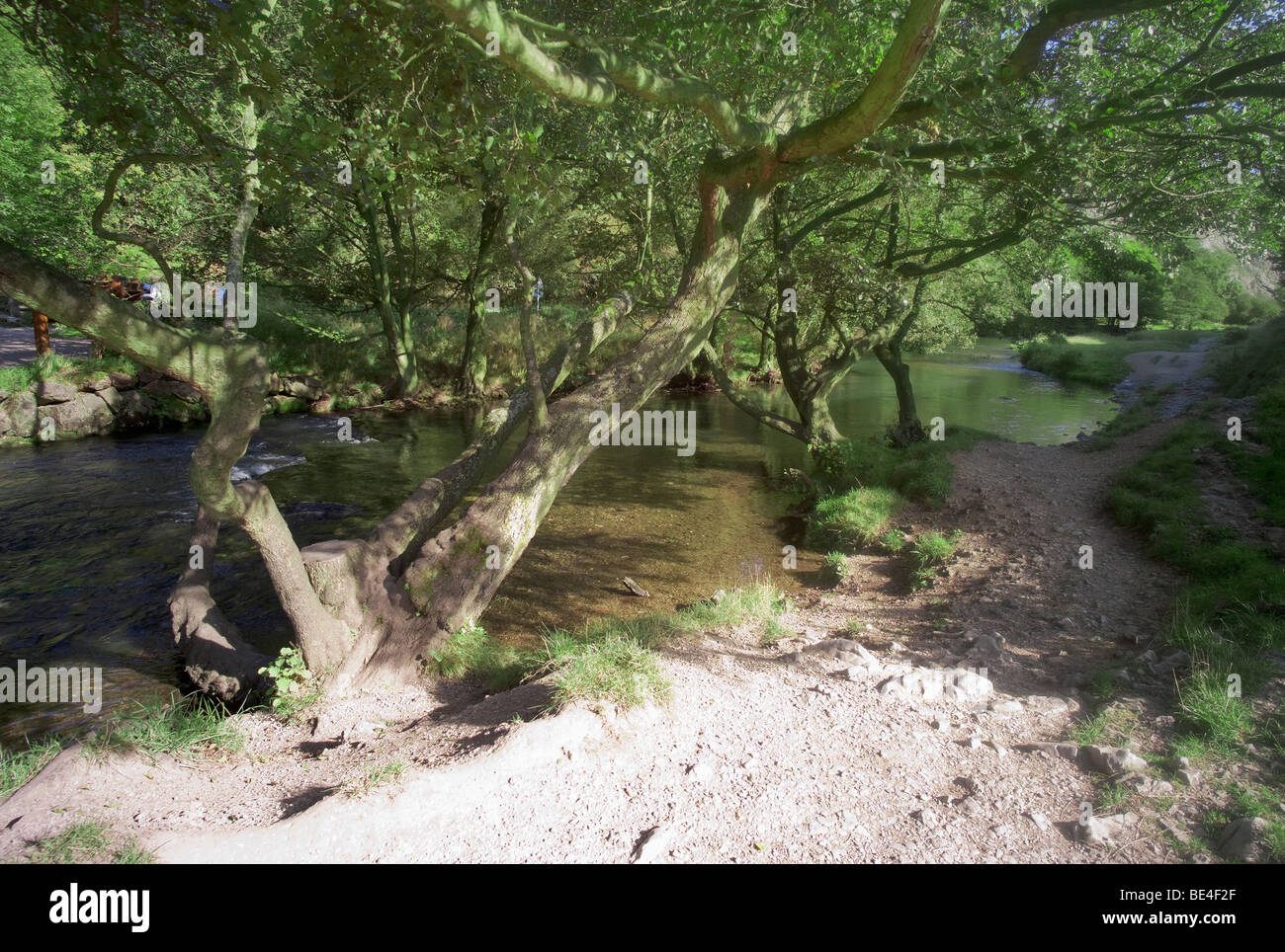 river dove dovedale peak district national park derbyshire ...