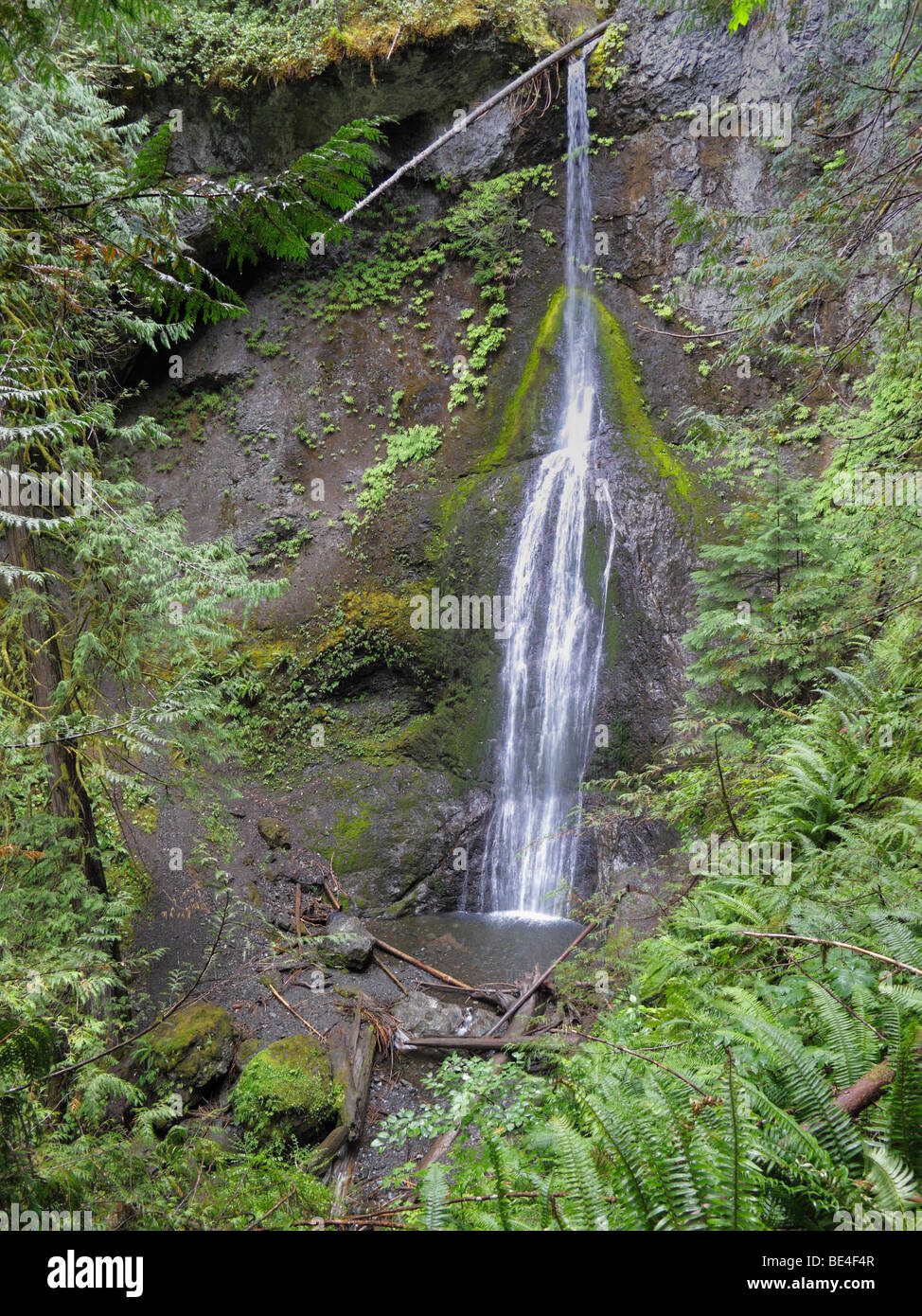 Marymere falls hi-res stock photography and images - Alamy