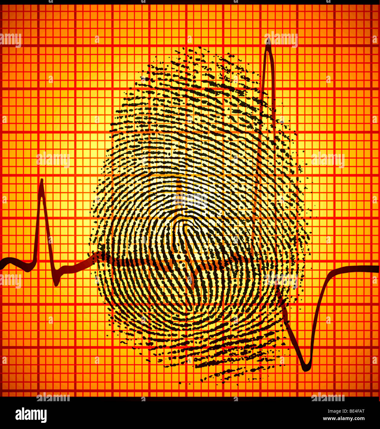 finger print and EKG printout for identification Stock Photo - Alamy