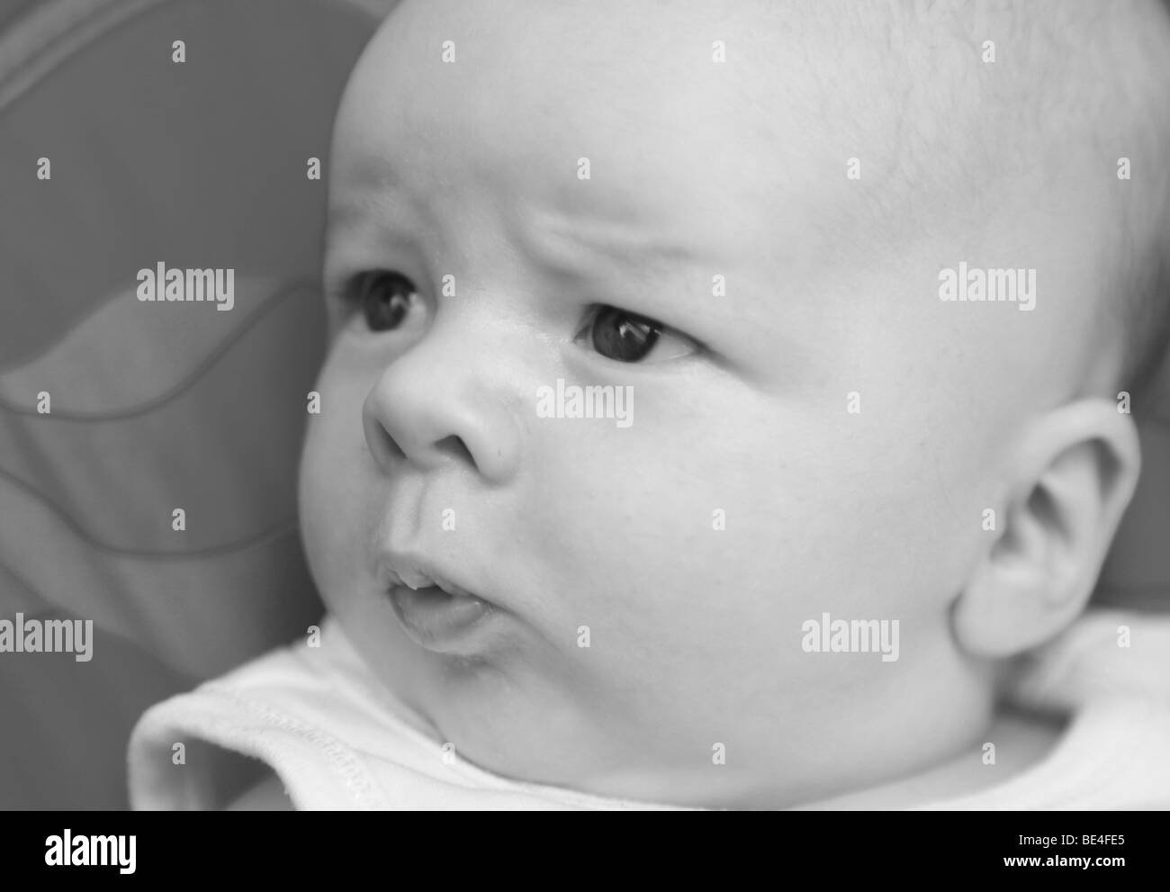 8 week old baby boy Stock Photo - Alamy