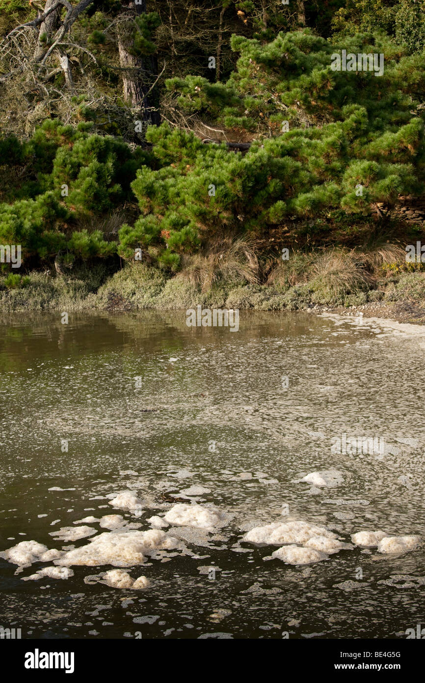 water pollution in brittany near st mathieu point, finistere, france ...