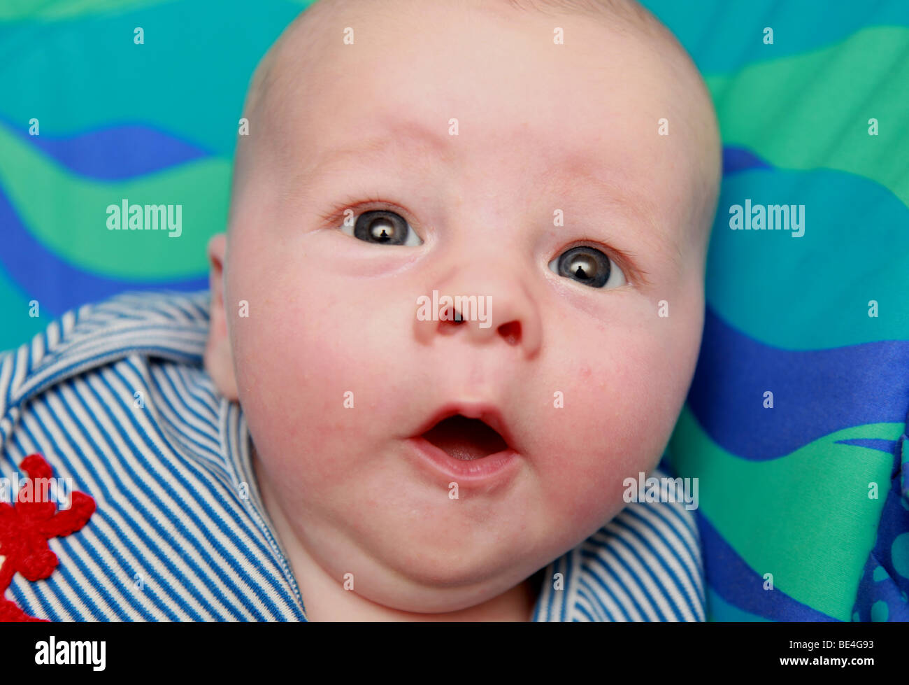 8 week old baby boy Stock Photo - Alamy