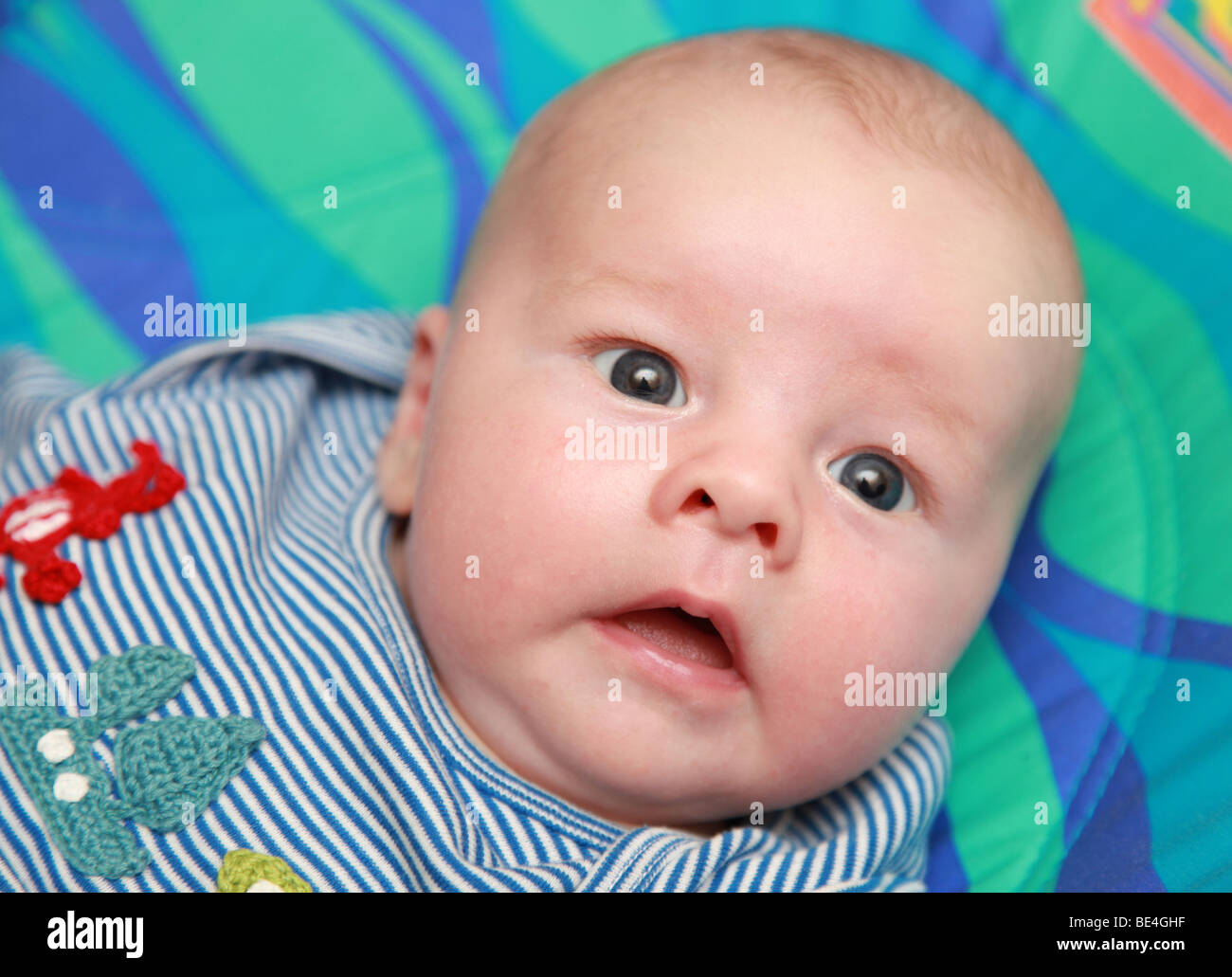 8 week old hi-res stock photography and images - Alamy