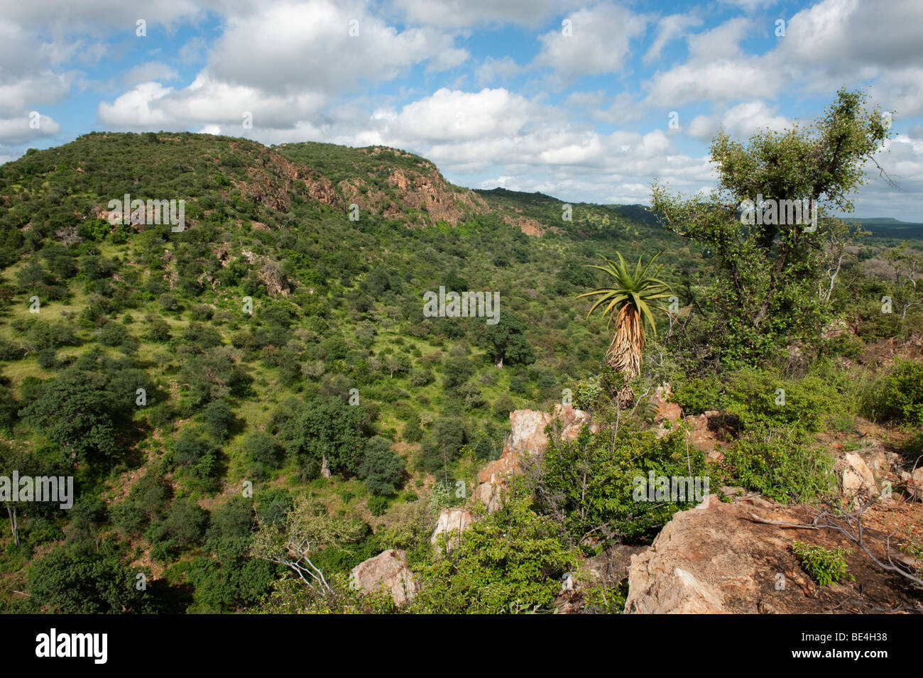 Thulamela archaeological hi-res stock photography and images - Alamy