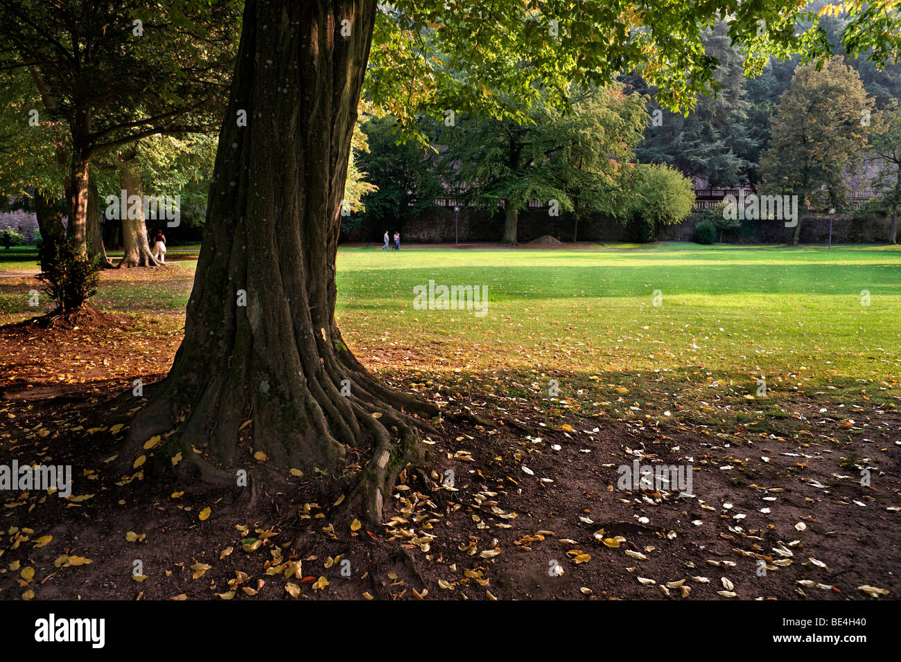 Park heidelberg autumn fall hi-res stock photography and images - Alamy