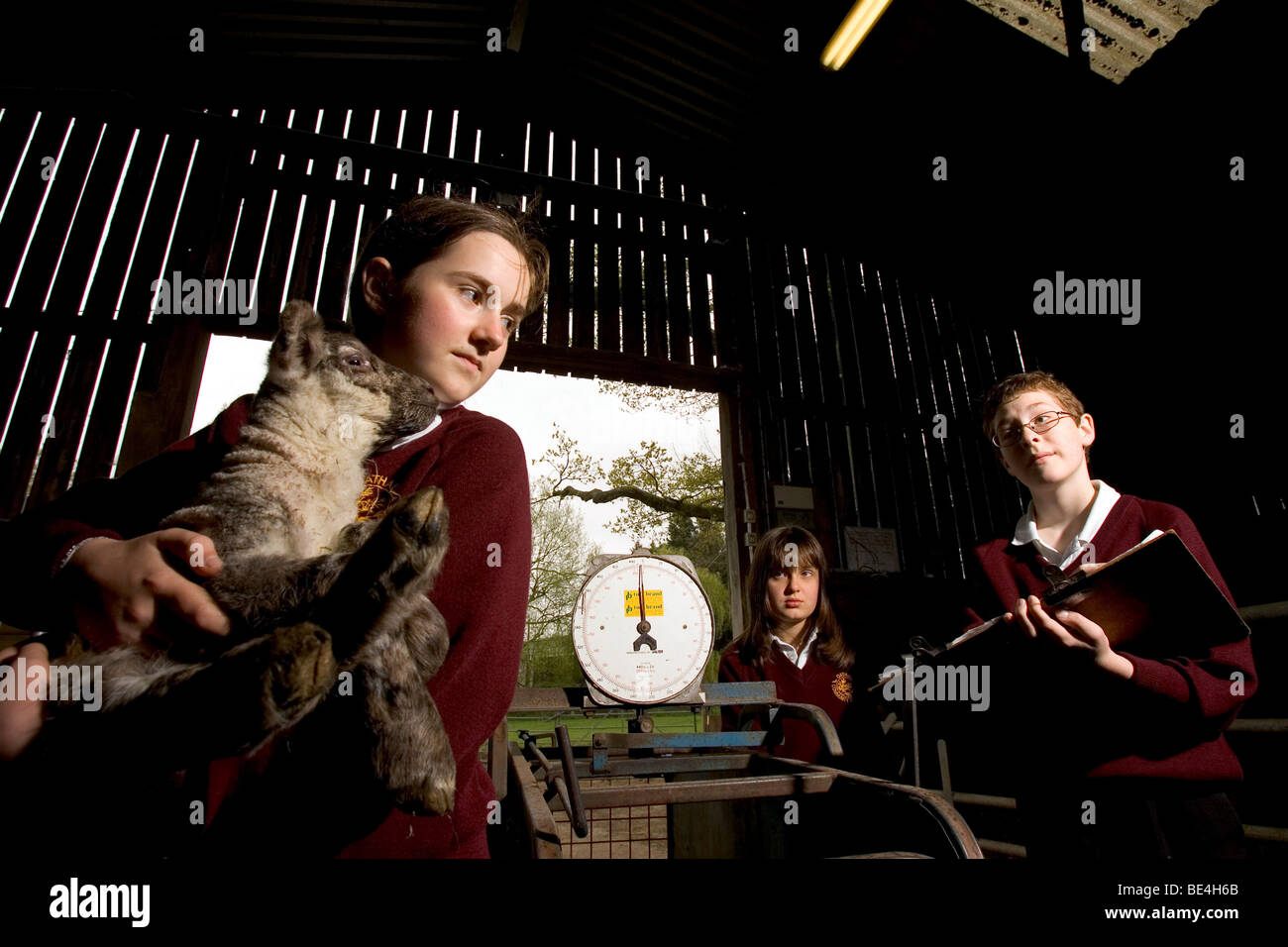 Oathall community college hi-res stock photography and images - Alamy