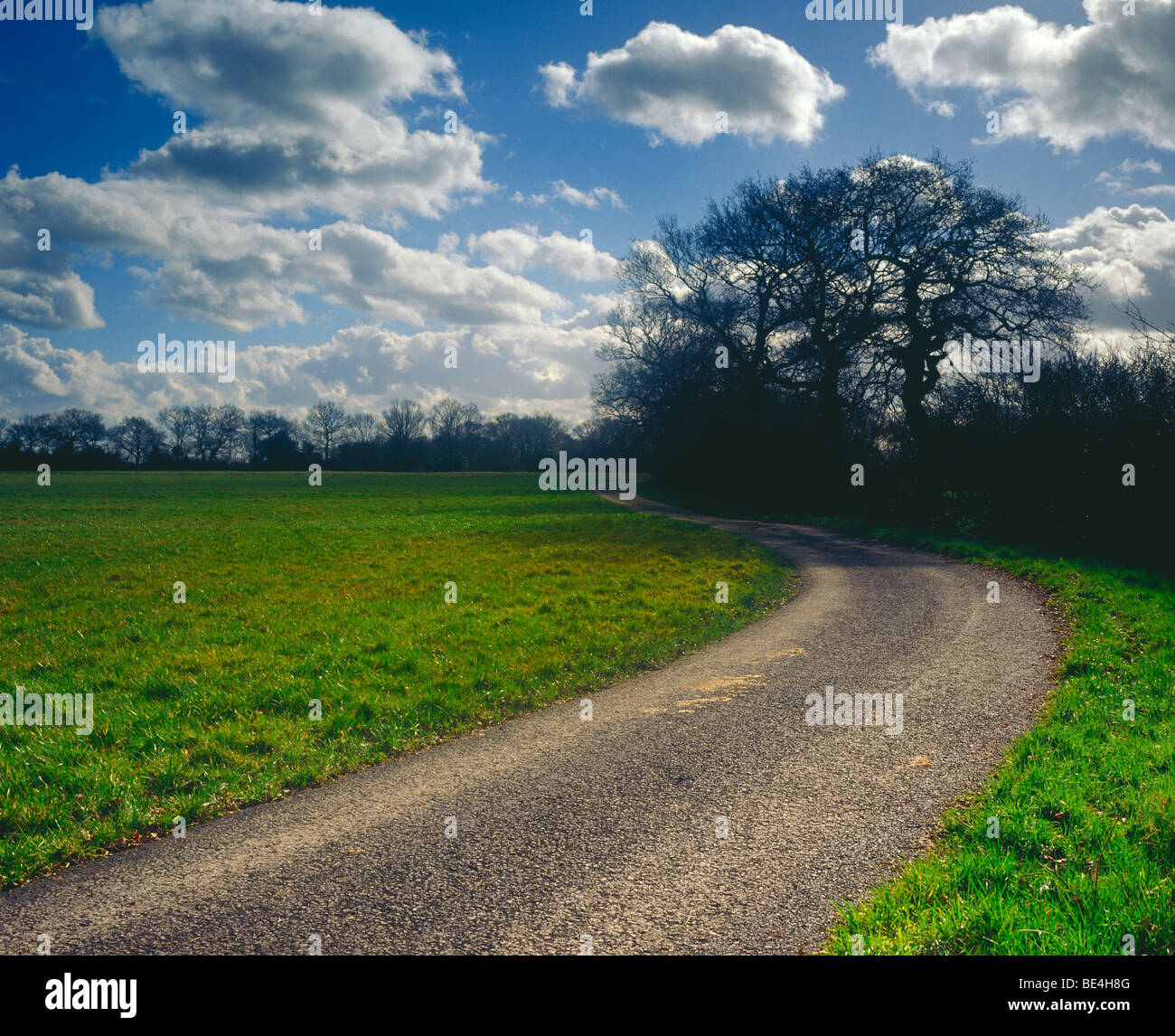 Tarmac path grass hi-res stock photography and images - Alamy
