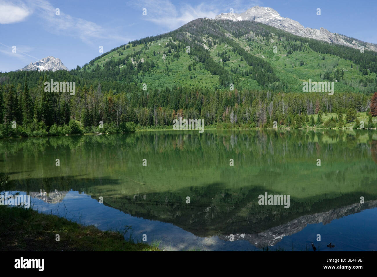 Grand Tetons National Park Spring Lake mountain Stock Photo - Alamy