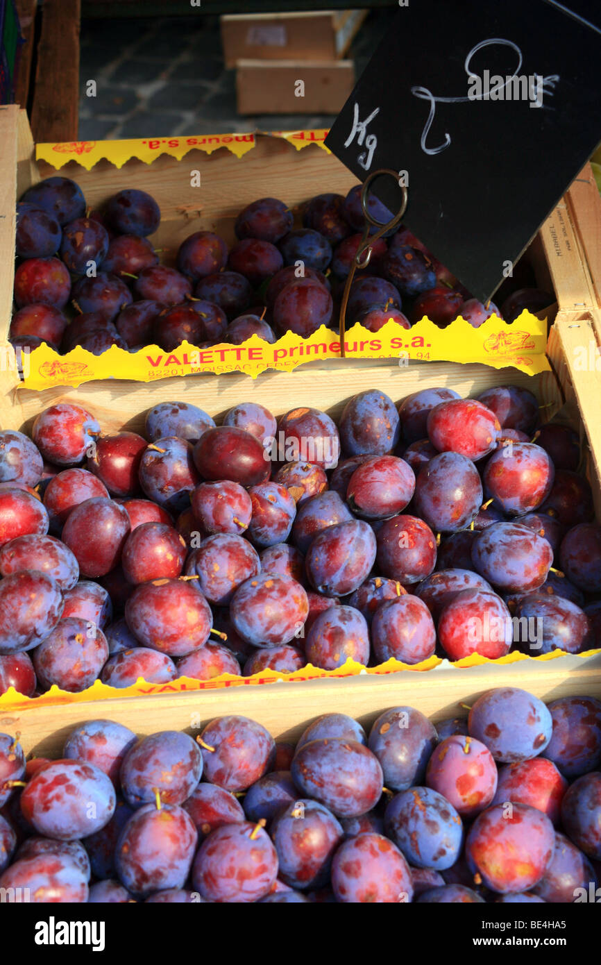 Plums on a market stall, marche a Place Alphonse Pierru, St Valery sur ...