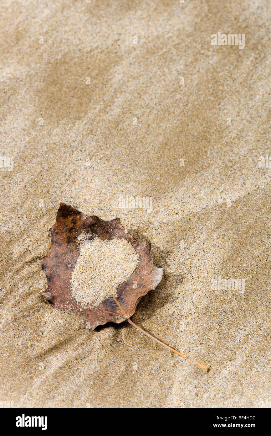 Autumn beaches hi-res stock photography and images - Alamy