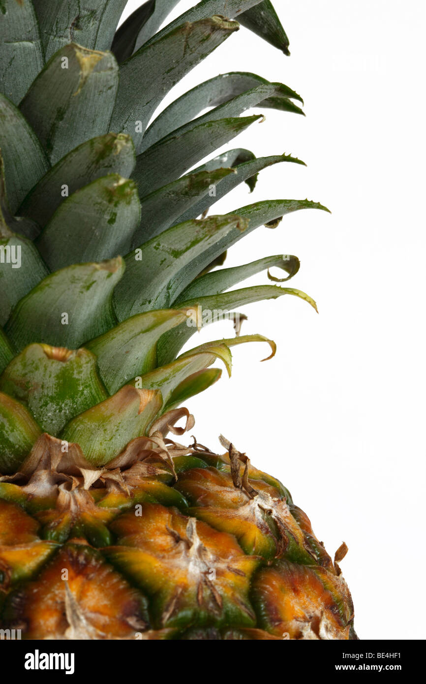 Green skin fruit pineapple texture hi-res stock photography and images ...
