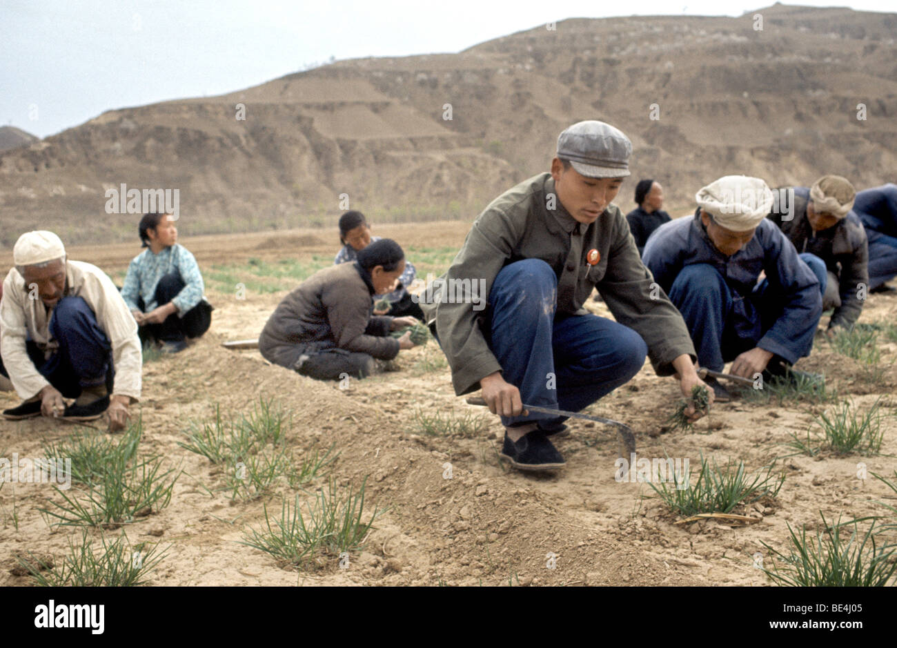 Mao and peasants hi-res stock photography and images - Alamy