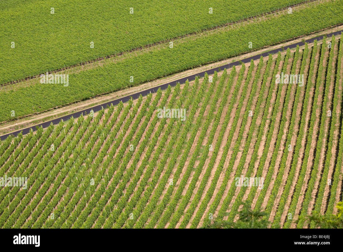 Vineyard aerial hi-res stock photography and images - Alamy